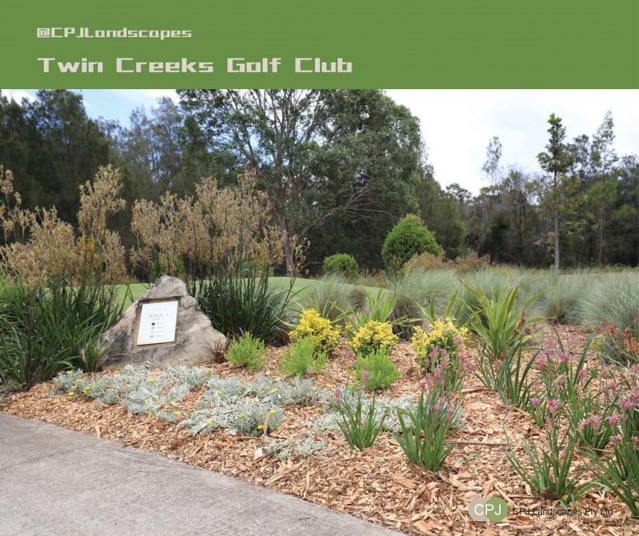 Twin Creeks Golf Club